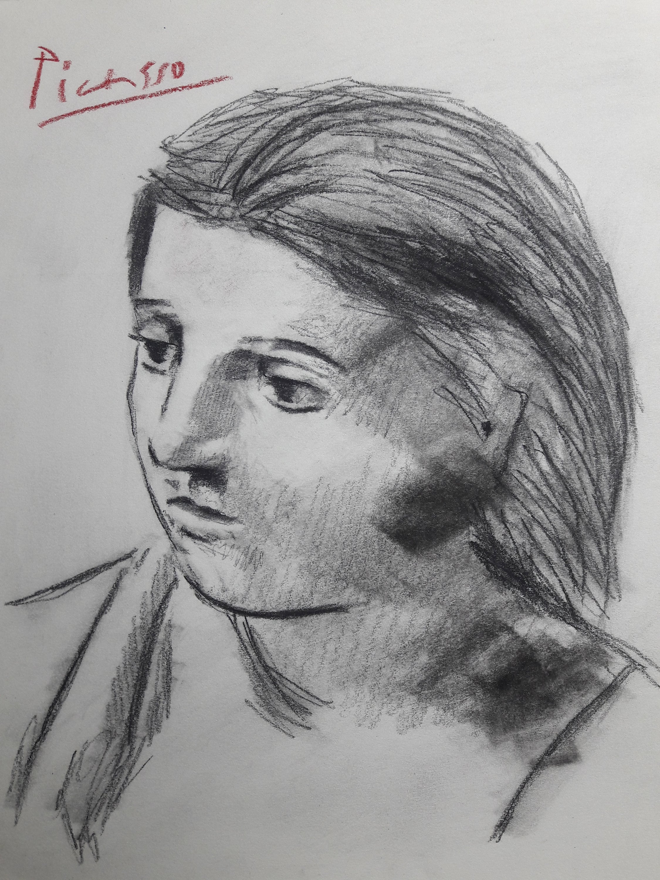 Picasso Charcoal Drawings