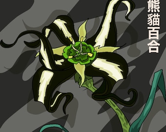 Panda Lily - Etsy