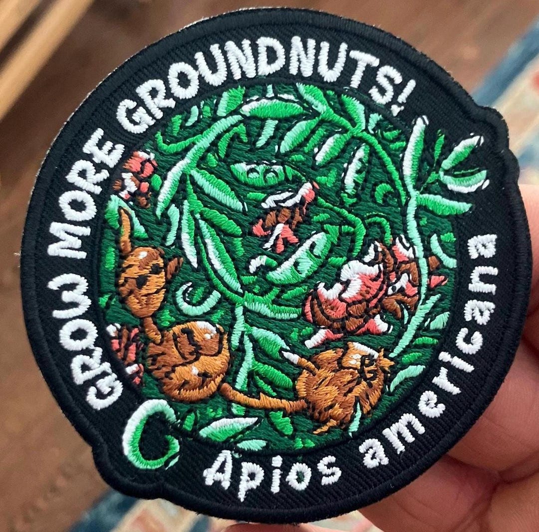 Grow More Groundnuts! Foraging / Native Plant Permaculture 3" Patch ...