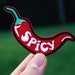 Spicy Pepper Patch | Pepper Embroidered Iron-on Patch | Trendy, Weird ...