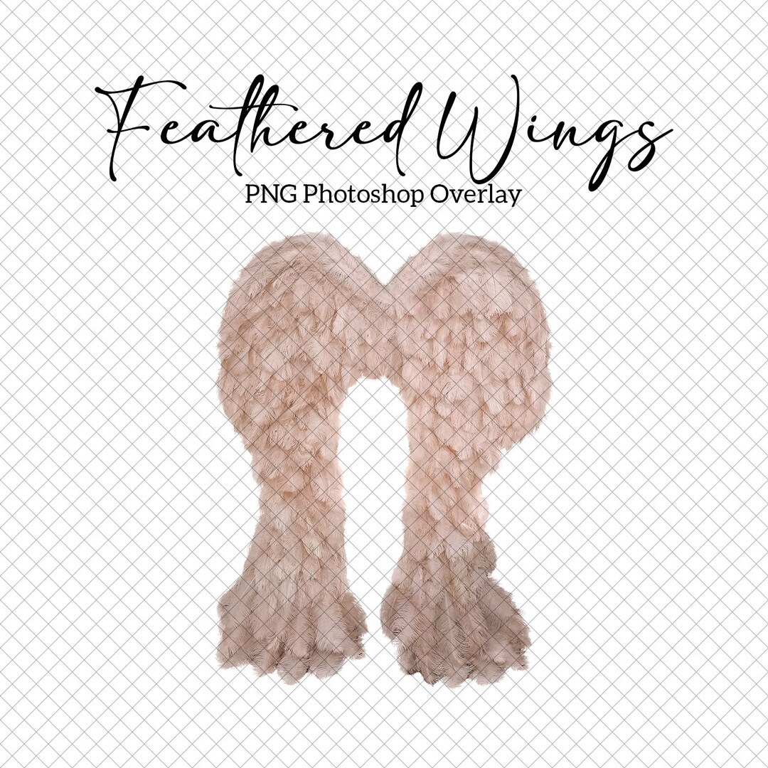 Blush Feathered Angel Wings PNG Photoshop Overlay - Etsy