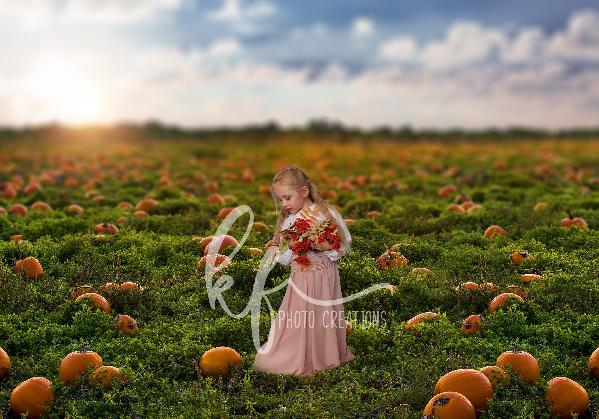 Realistic Pumpkin Patch Digital Backdrop Realistic Pumpkin | Etsy
