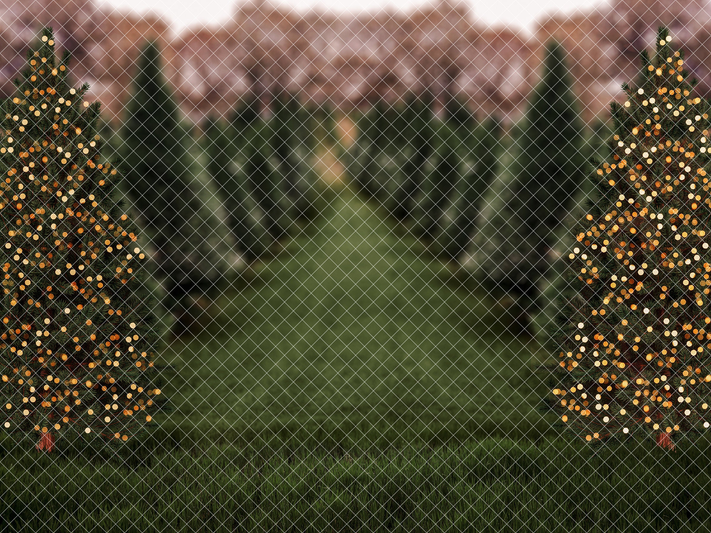 Christmas Tree Farm Digital Background - Etsy