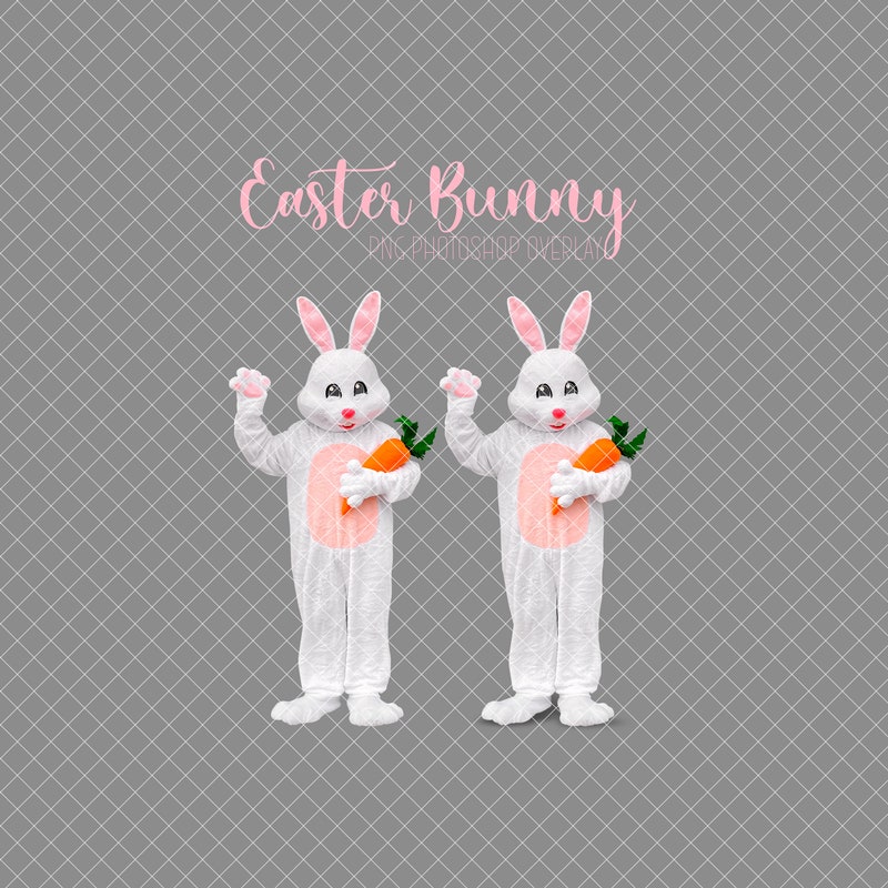 Easter Bunny Photoshop - Etsy