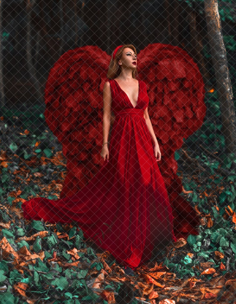 Red Feathered Angel Wings PNG Photoshop Overlay - Etsy