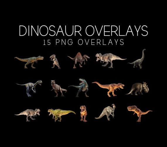 15 PNG Dinosaur Overlays - Etsy