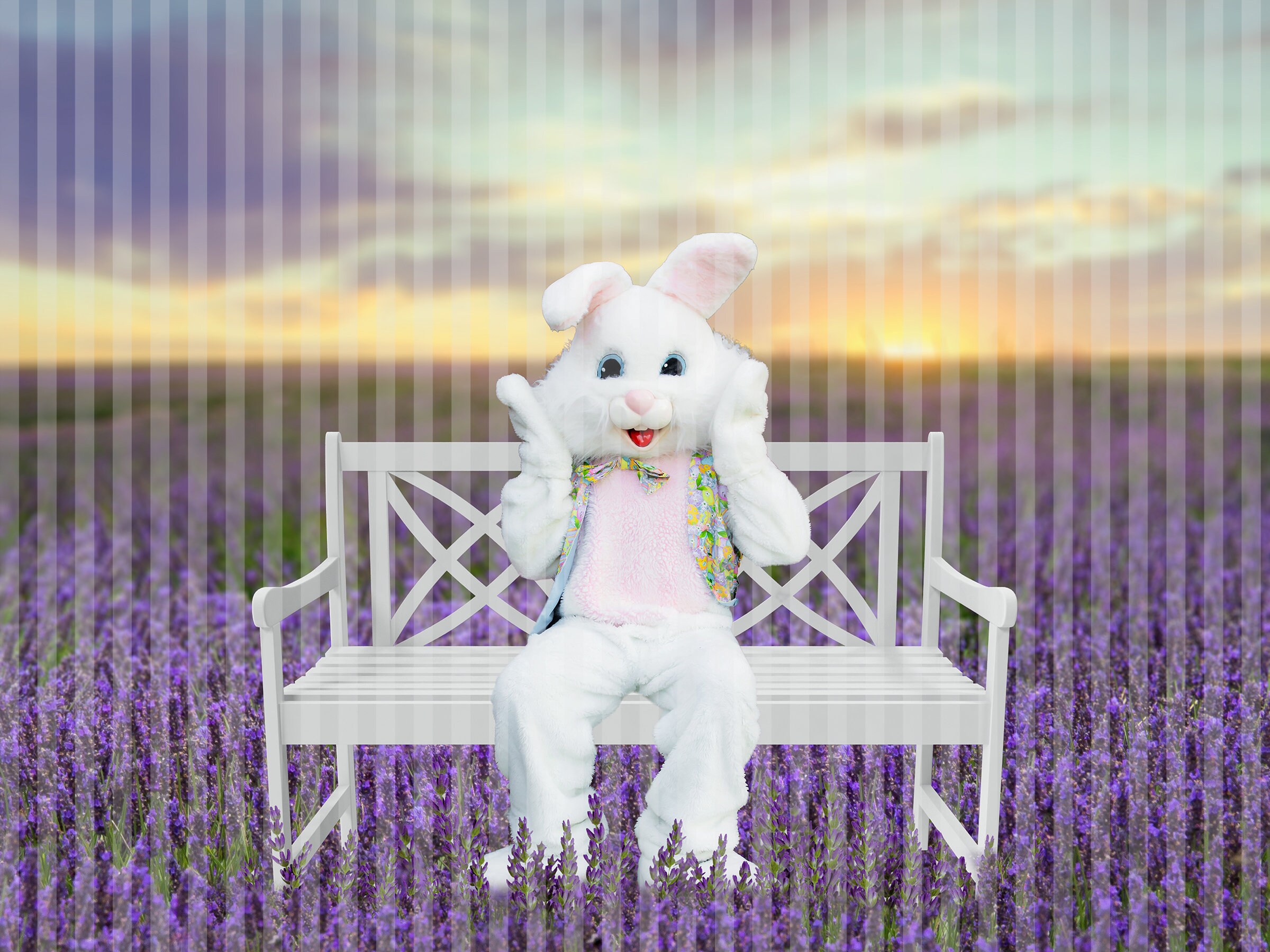 Easter Bunny Digital Backdrop 2 Pack, Easter Bunny Digital Background 2 ...