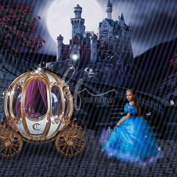 Cinderella Backdrop - Etsy