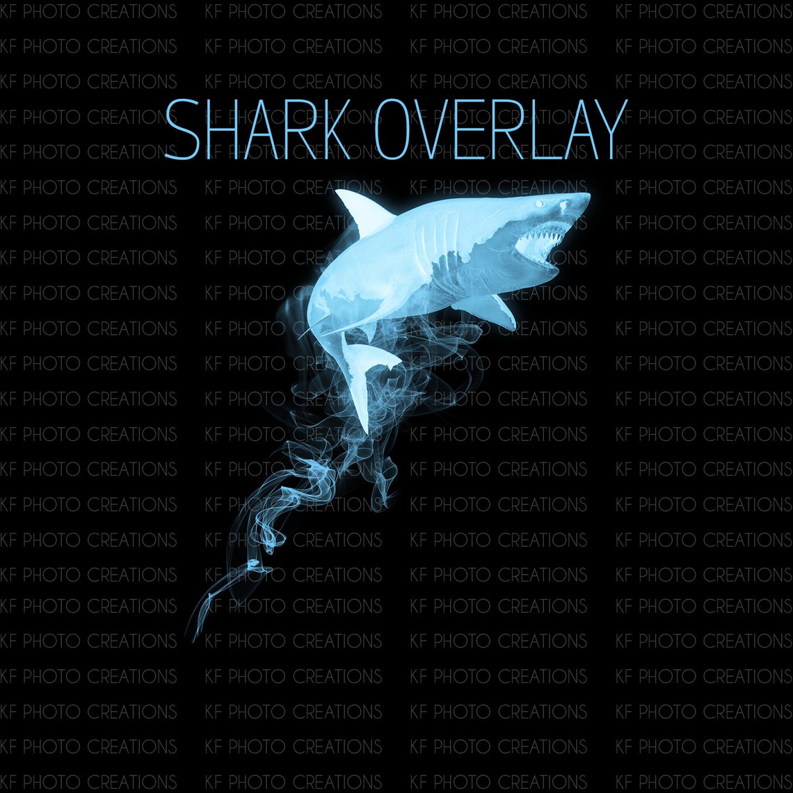 Shark Animal Magic PNG Overlay TRANSPARENT BACKGROUND - Etsy