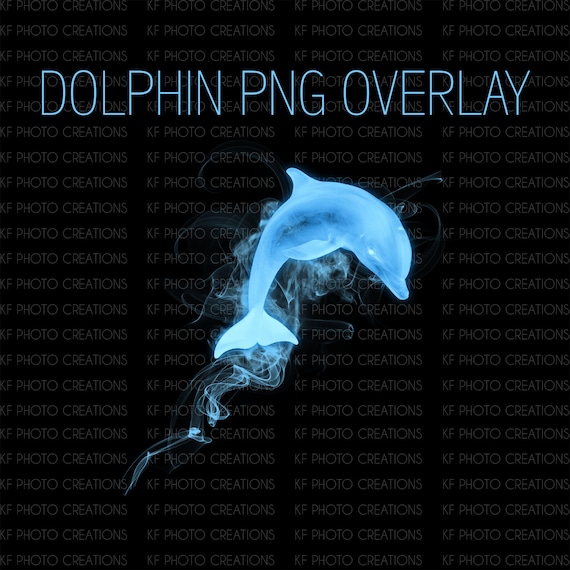 Dolphin Animal Magic PNG Overlay - Etsy