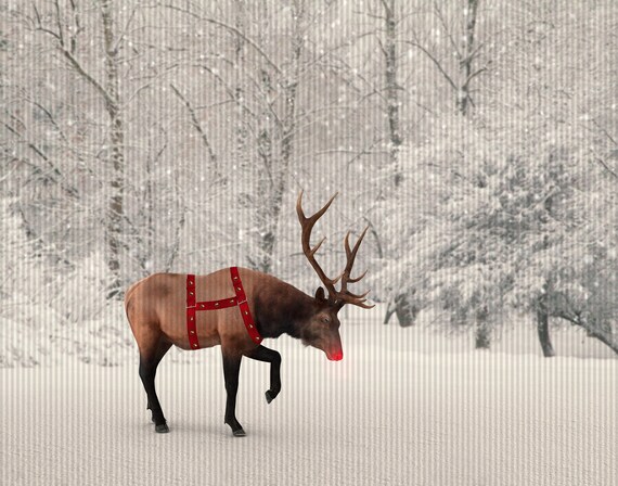 Rudolph Digital Backdrop Rudolph Digital Background | Etsy