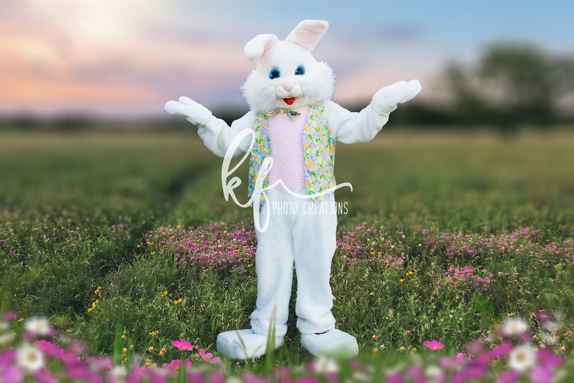 Easter Bunny Standing Digital Backdrop With Overlay Easter | Etsy