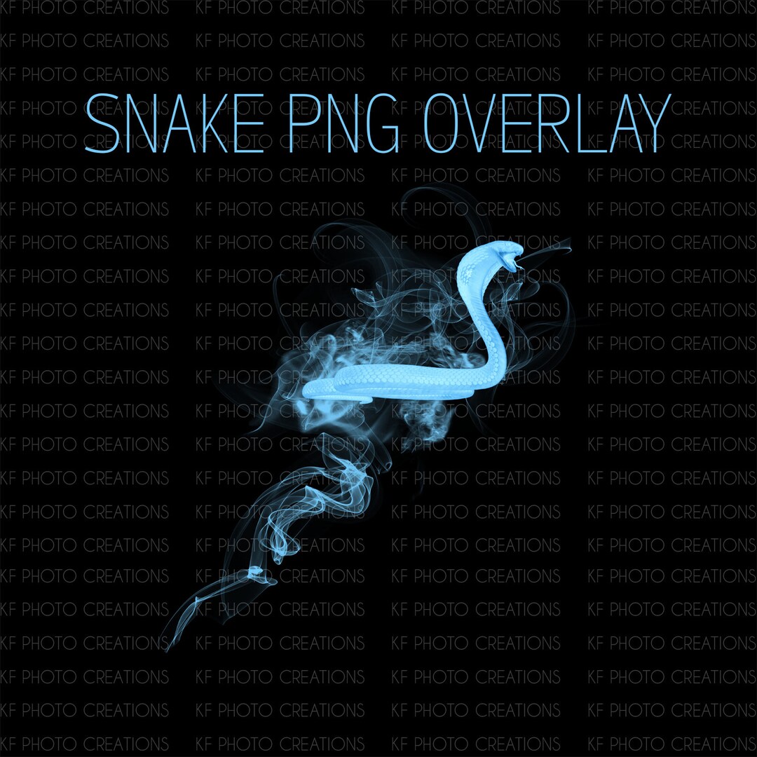 Snake Animal Magic PNG Overlay (TRANSPARENT BACKGROUND) - Etsy