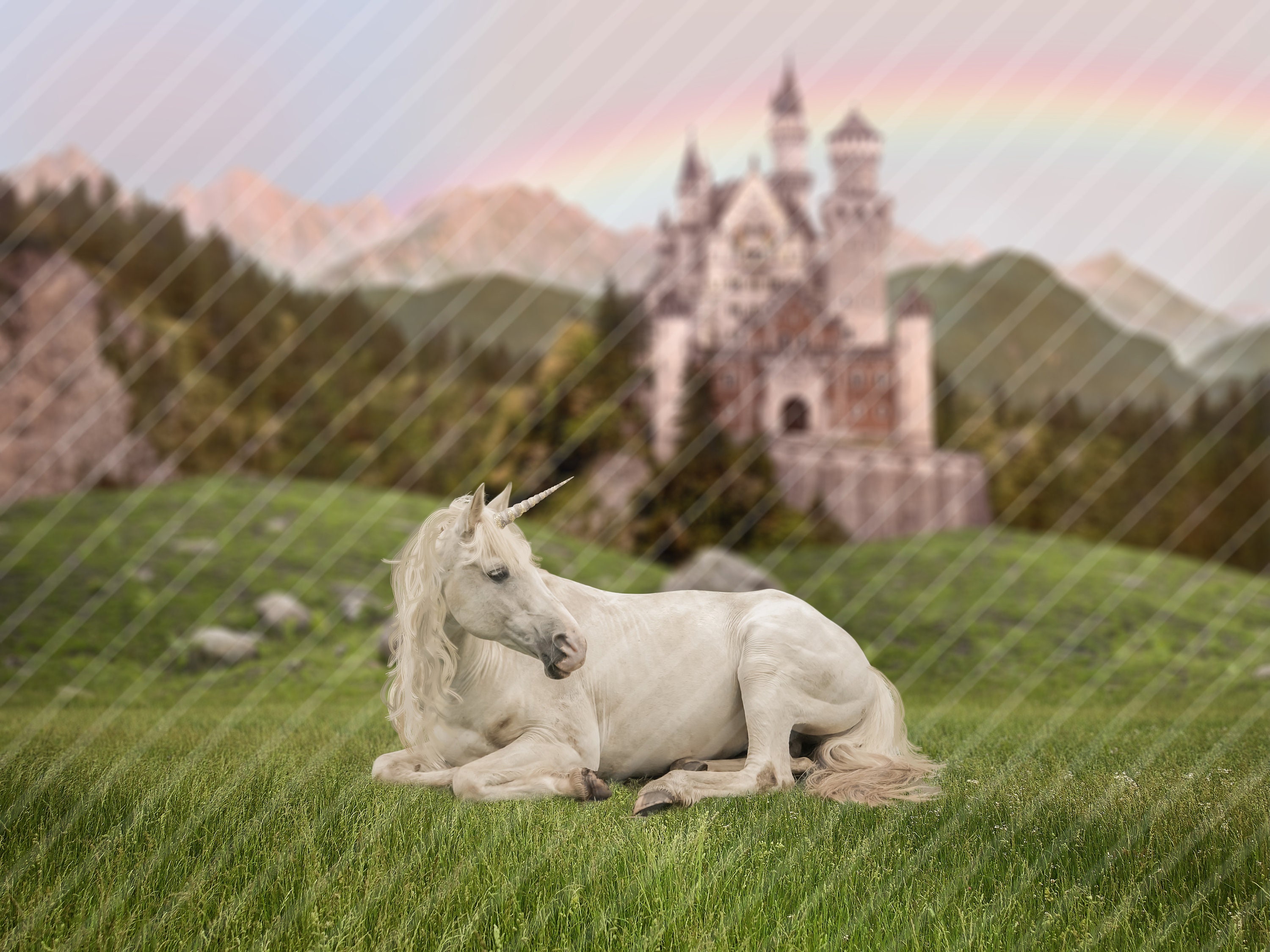 Unicorn Castle Digital Backdrop 2 Pack Unicorn Castle - Etsy