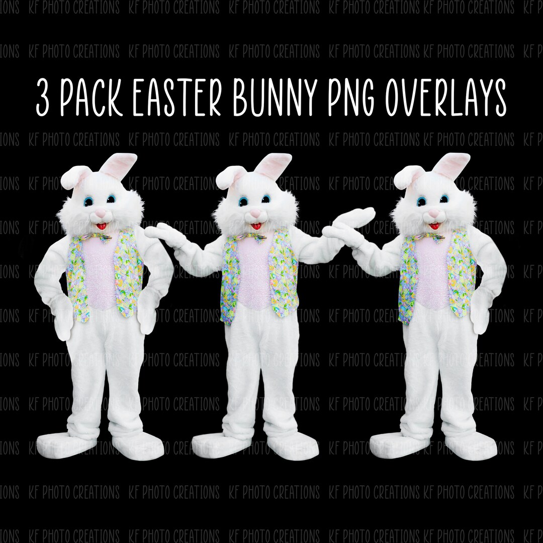 Easter Bunny Digital Overlays for Photoshop - Etsy