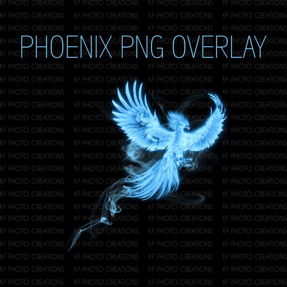 Phoenix Animal Wand Magic PNG Overlay TRANSPARENT BACKGROUND - Etsy