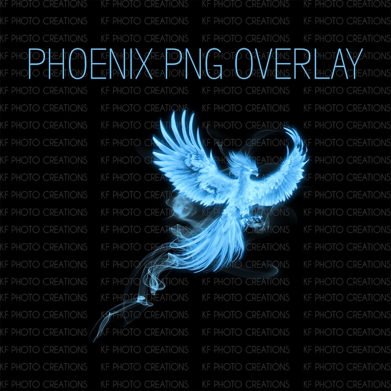 Phoenix - Etsy