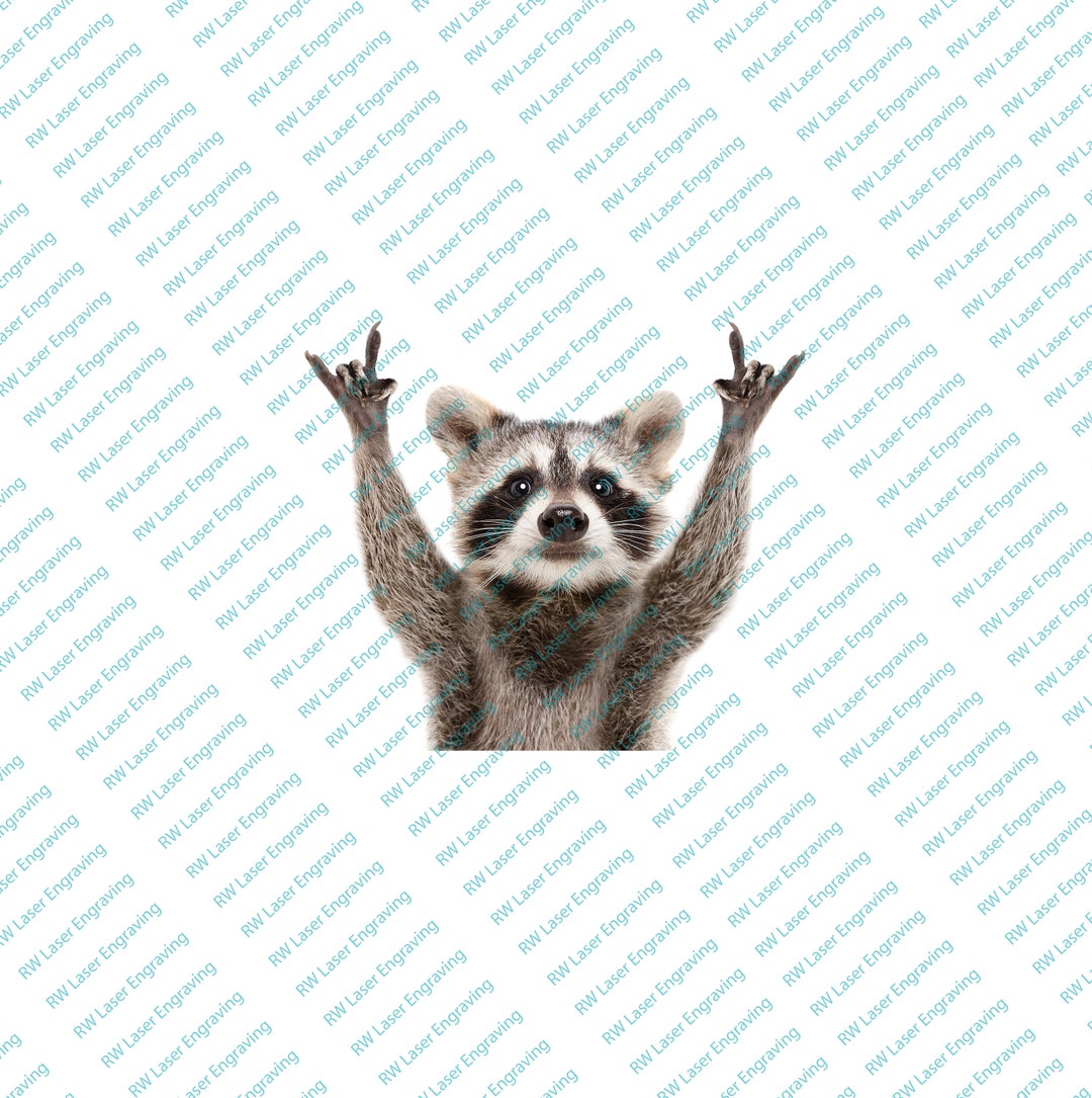 Raccoon Rock Sign Sticker - Etsy