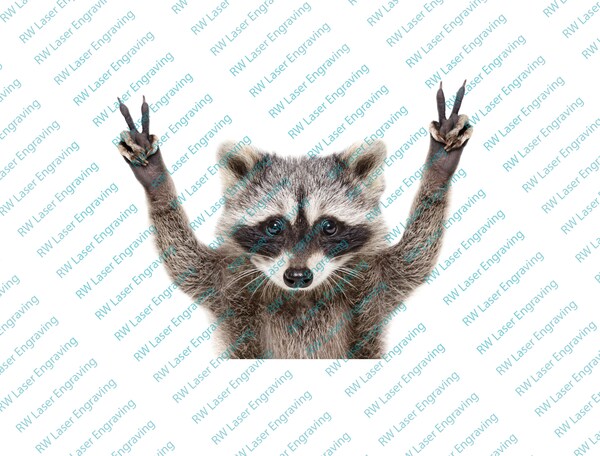 Custom Racing Hero Cards / 2 Sided Design for 5x7 Cards / Digital ...