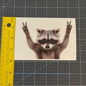 Raccoon Peace Sign Sticker - Etsy
