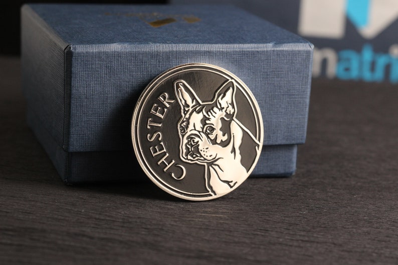 Coin With Pet Portrait for Pet Lover Personalized Gift for - Etsy
