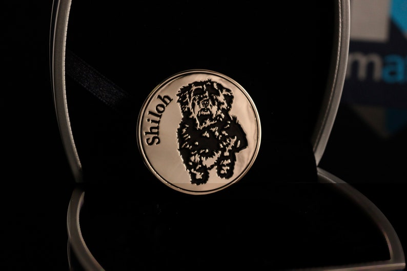 Coin With Pet Portrait for Pet Lover Personalized Gift for Friend ...