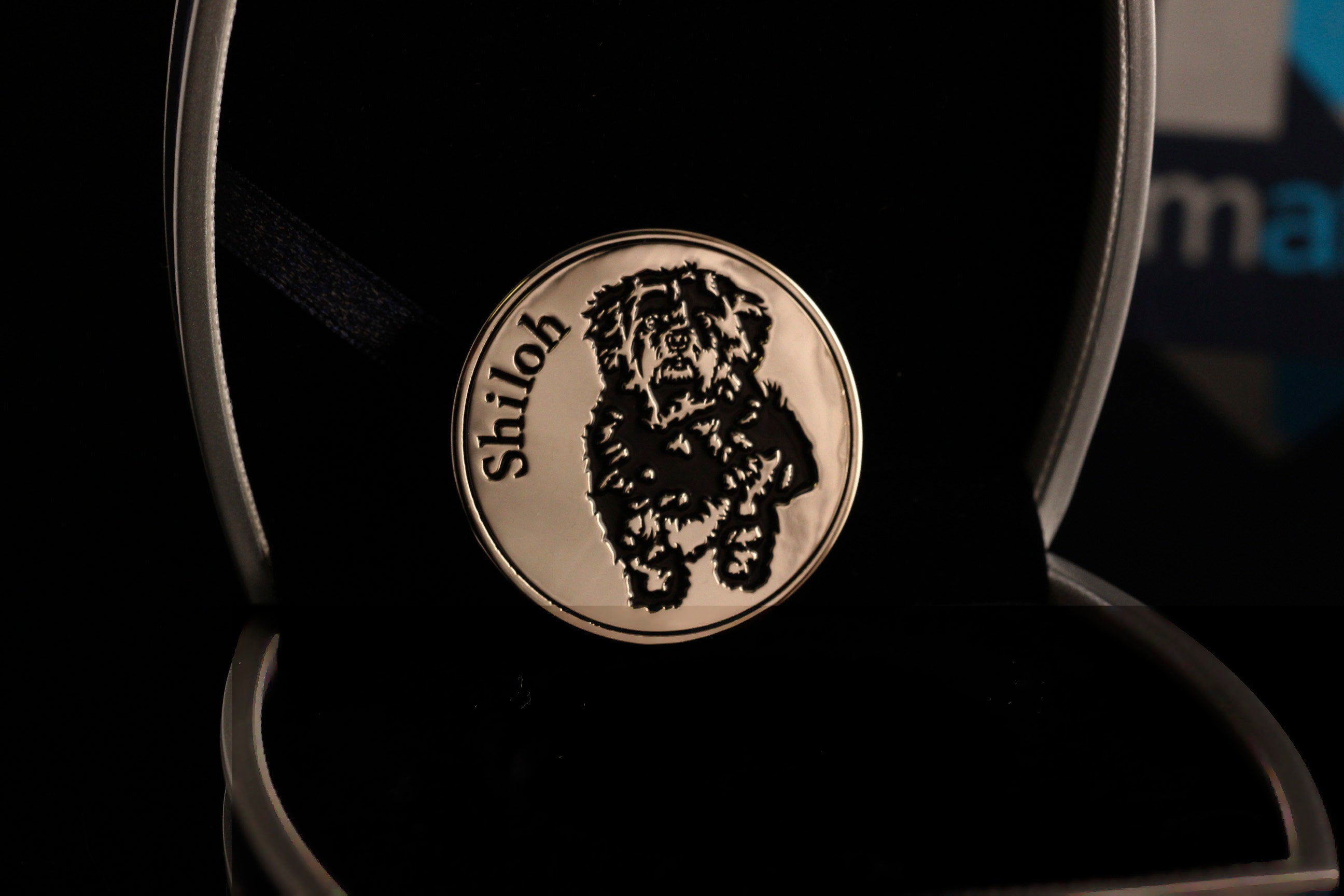 Coin With Pet Portrait for Pet Lover Personalized Gift for Friend ...