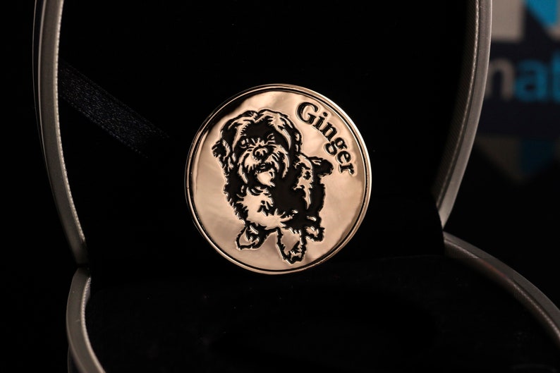 Coin With Pet Portrait for Pet Lover Personalized Gift for - Etsy