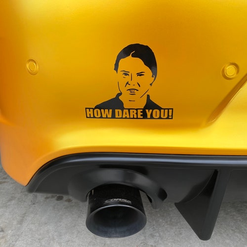 Greta Thunberg How Dare You Meme Decal | Etsy