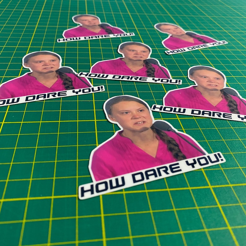 Greta Thunberg How Dare You Meme Decal - Etsy