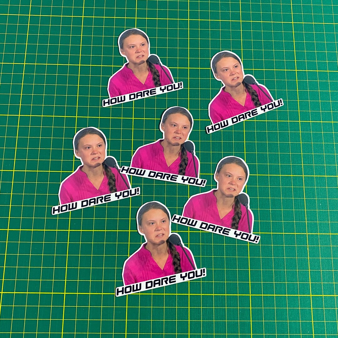 Greta Thunberg How Dare You Meme Decal - Etsy