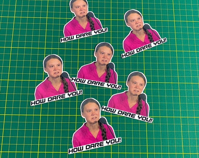 Greta Thunberg How Dare You Meme Decal - Etsy