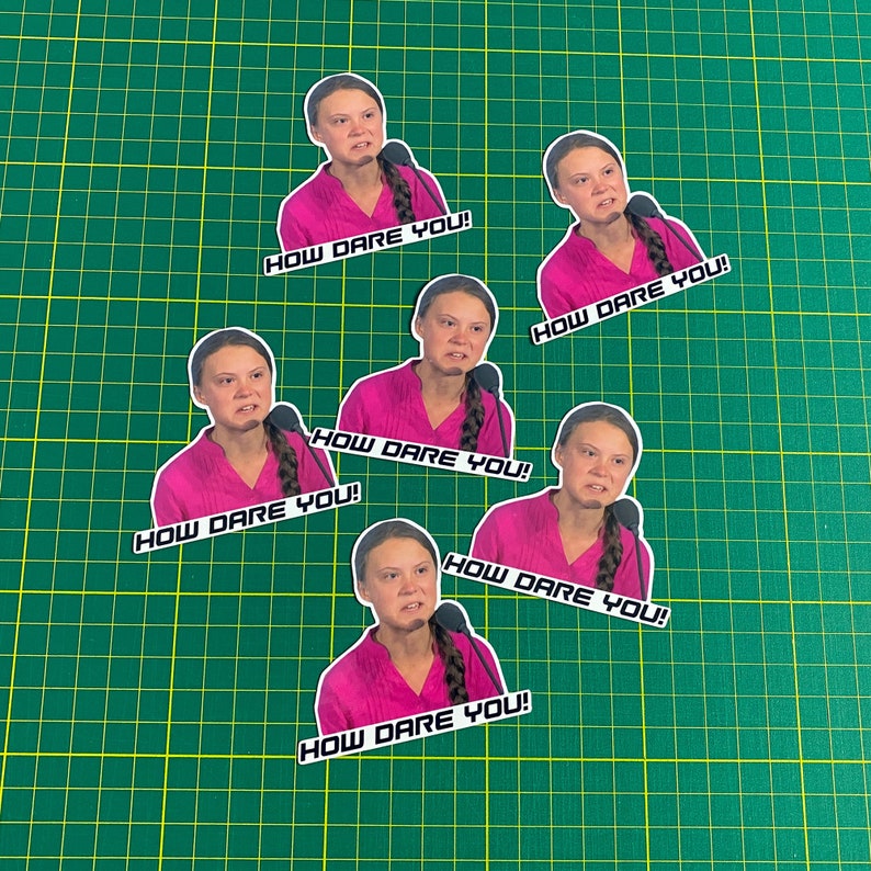 Greta Thunberg How Dare You Meme Decal - Etsy