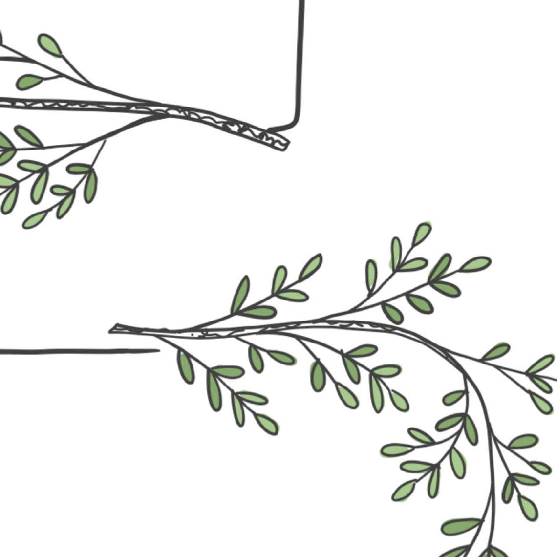 Leafy Frames Clipart • 4 Hand Drawn Digital Images • Png, Frames ...