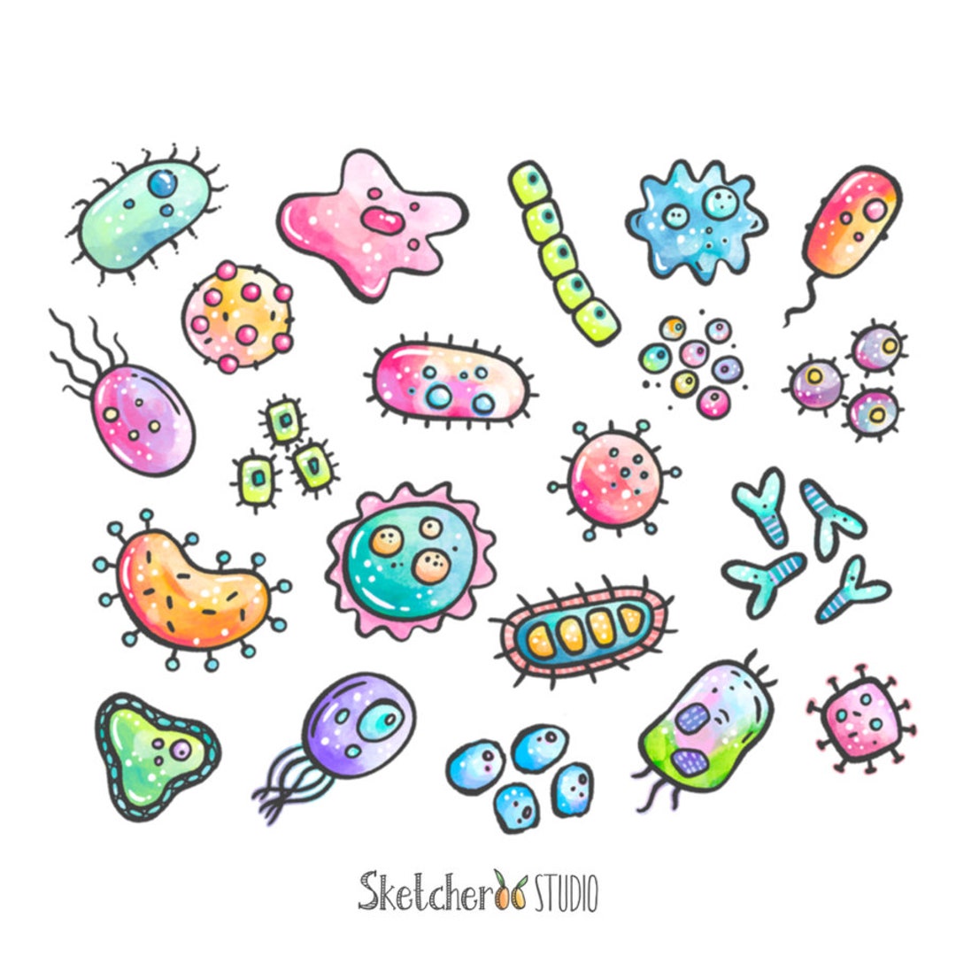 Microorganism Clipart • 21 Hand Drawn Digital Images • Png, Biology ...