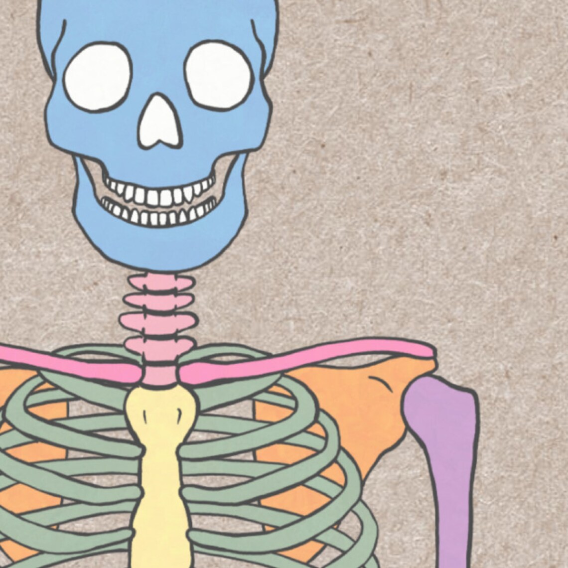 Skeleton Clipart • 3 Hand Drawn Digital Images • Png, Halloween ...