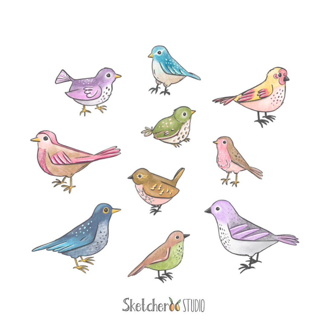 Garden Birds Clipart • 10 Hand Drawn Digital Images • Png, Bird ...