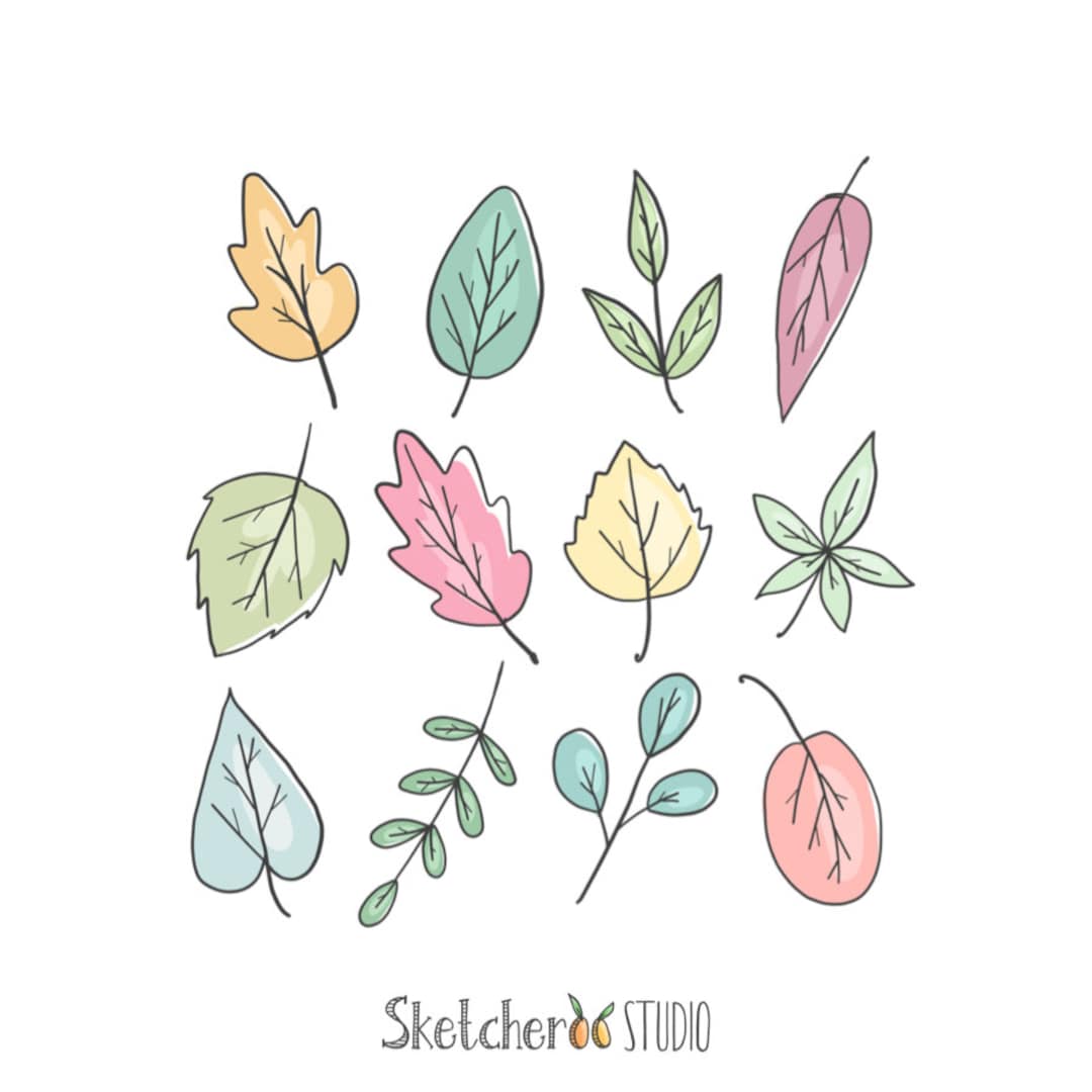 Colourful Leaves Clipart • 12 Hand Drawn Digital Images • Png, Autumn ...