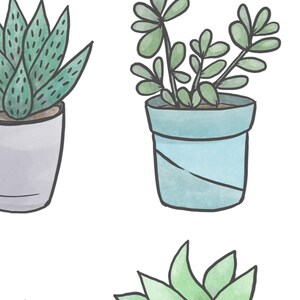 Succulents Clipart • 12 Hand Drawn Digital Images • Png, Cactus ...