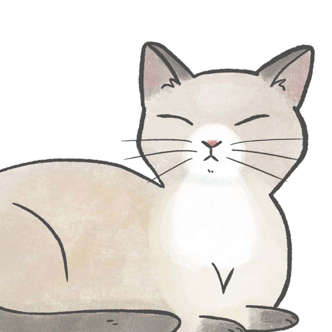 Kitty Cat Clipart 10 Hand Drawn Digital Images png Cats - Etsy