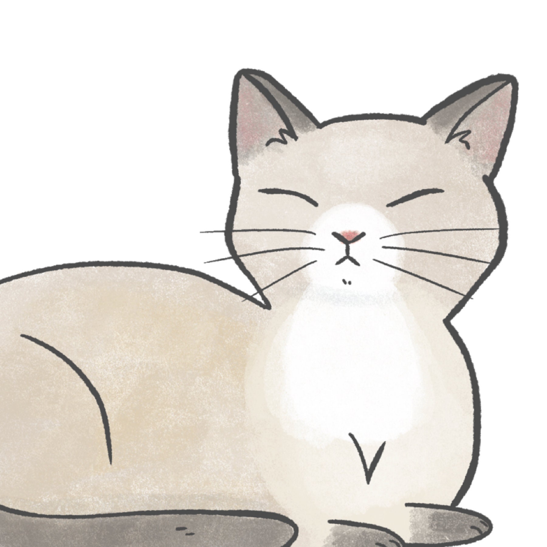 Kitty Cat Clipart 10 Hand Drawn Digital Images png Cats - Etsy