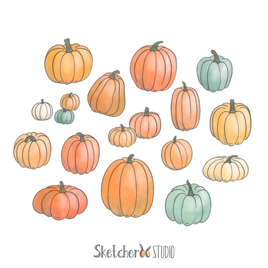 Pumpkins Clipart • 15 Hand Drawn Digital Images • png, Pumpkin, Autumn ...