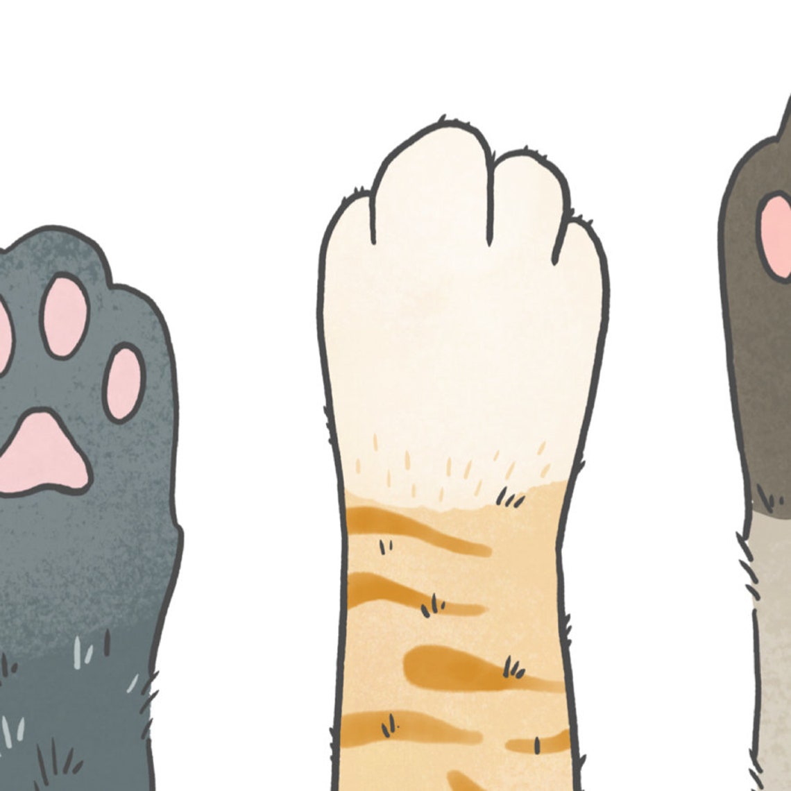 Cat Paw Clipart • 12 Hand Drawn Digital Images • Png, Cats, Paws ...