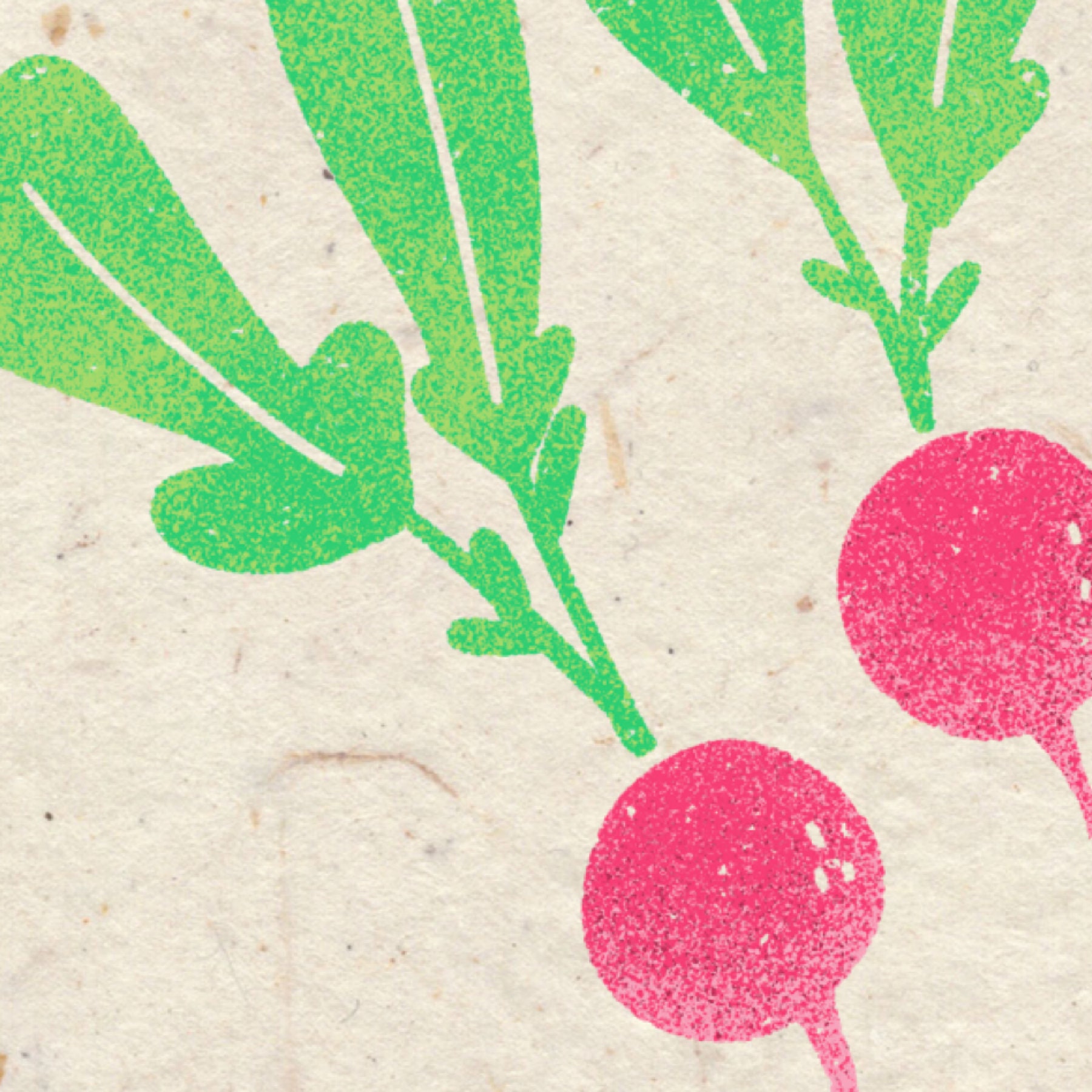 Coloured Stamp-style Vegetable Clipart • 12 Hand Drawn Digital Images ...