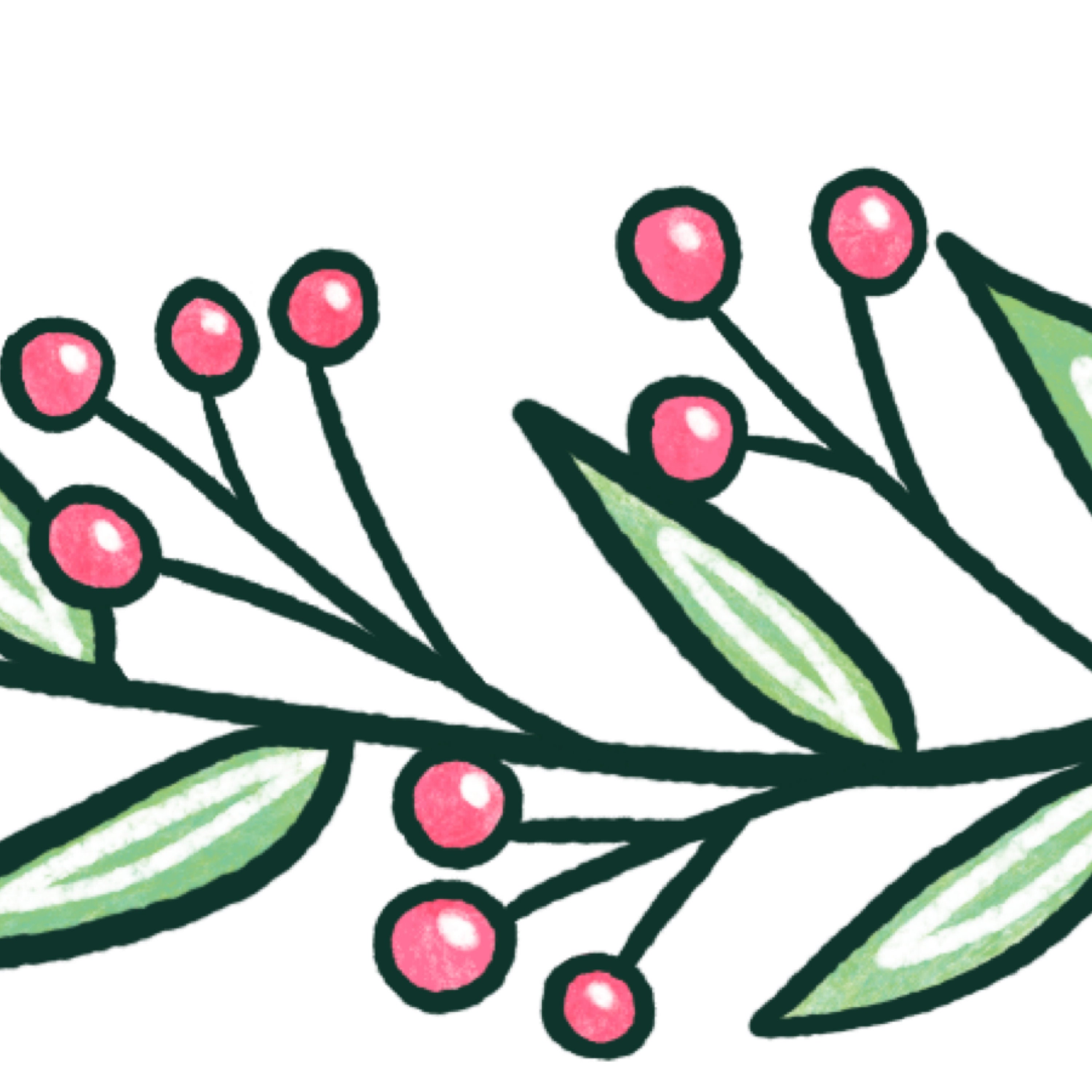 Floral Dividers Clipart • Hand Drawn Leaf & Flower Borders (PNG) - Etsy
