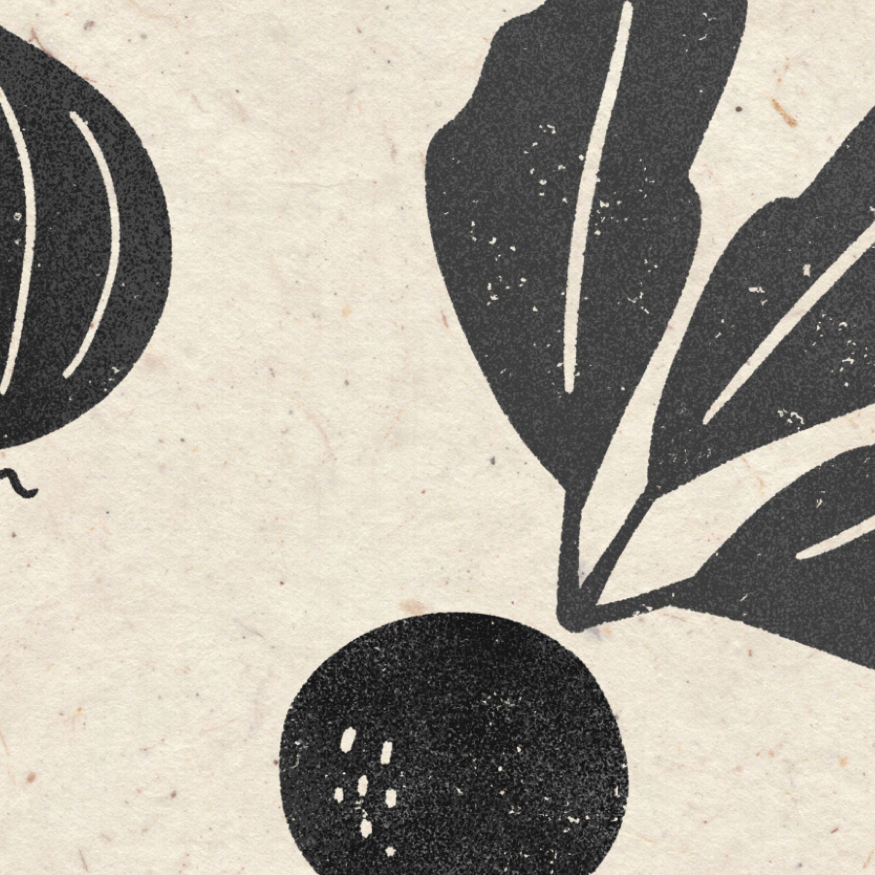 Stamp-style Vegetable Clipart • 12 Hand Drawn Digital Images • Png ...