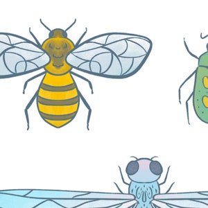 Pretty Insect Clipart • 16 Hand Drawn Digital Images • Png, Insects ...