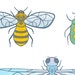 Pretty Insect Clipart • 16 Hand Drawn Digital Images • Png, Insects ...