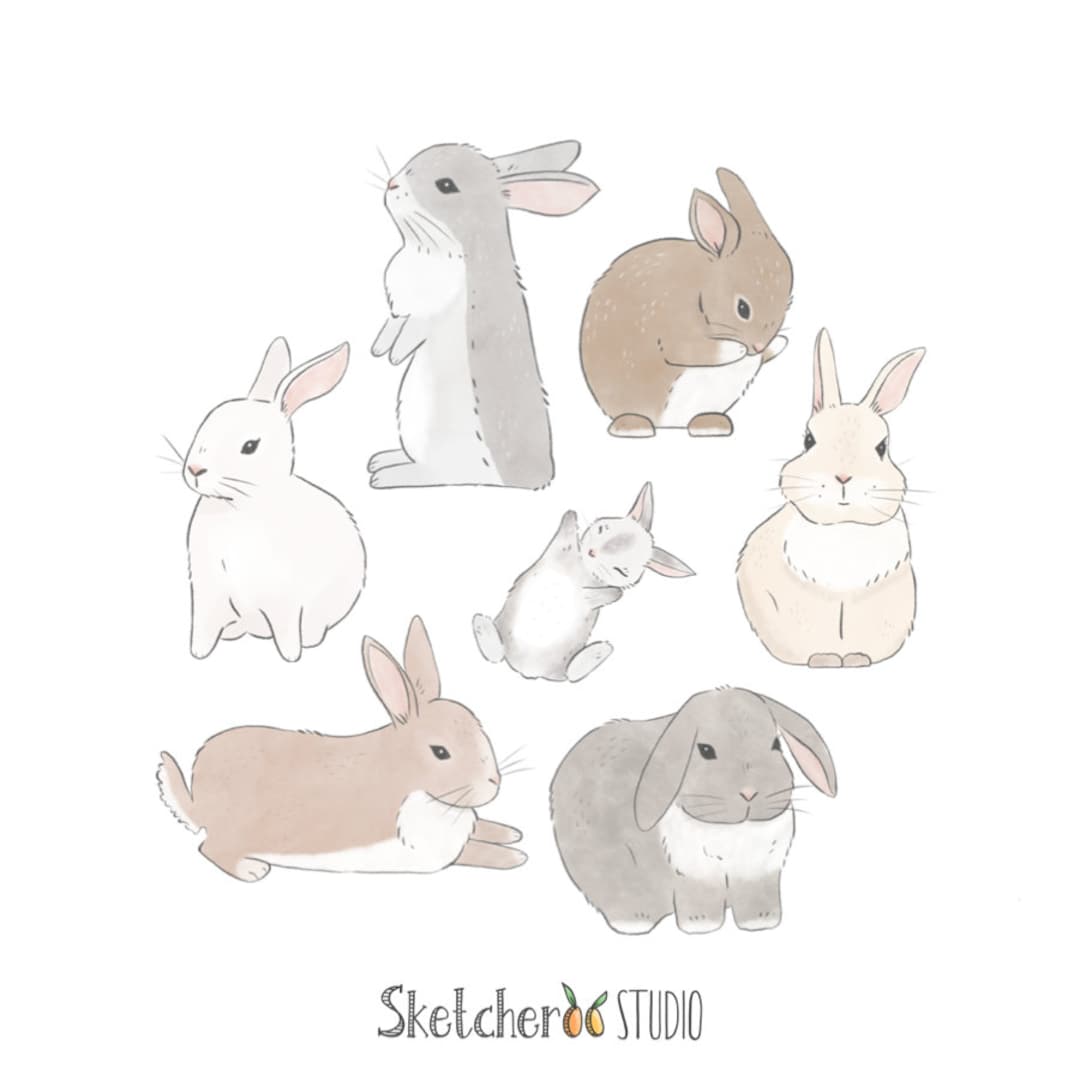 Bunny Clipart • 7 Hand Drawn Digital Images • png, Bunnies, Rabbit, Pet ...