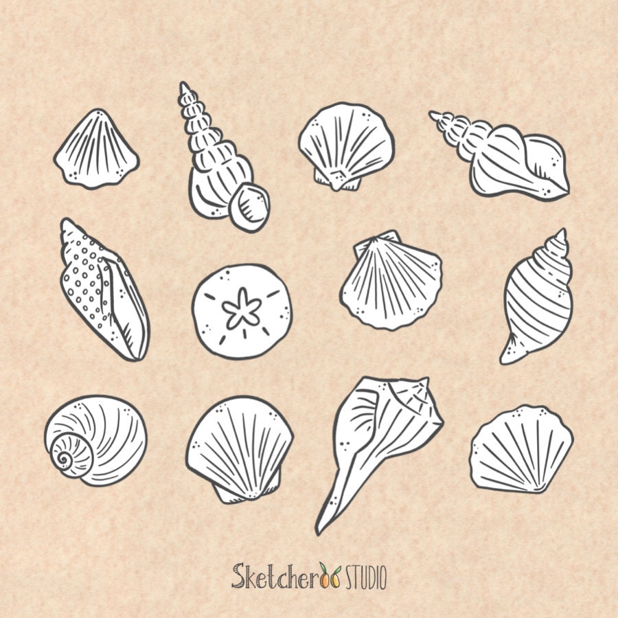 Seashells Clipart • 12 Hand Drawn Digital Images • Png, Ocean, Seashell ...